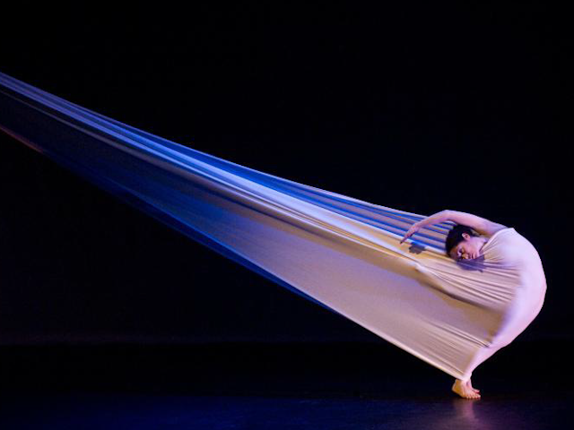 Maureen Fleming's Instagram, Twitter & Facebook on IDCrawl