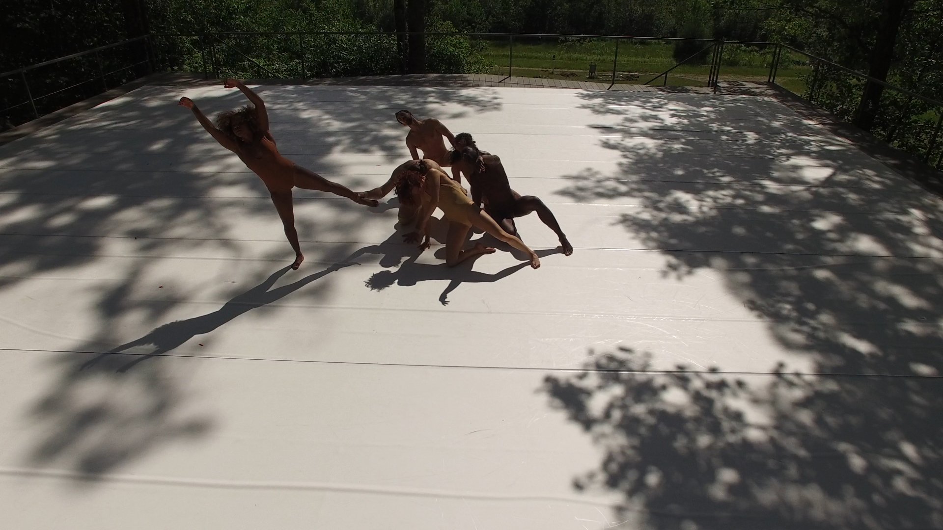 Pilobolus | Branches | Jacob's Pillow Dance Interactive