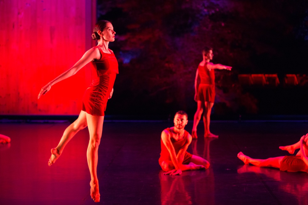 Pam Tanowitz | Essay - Jacob's Pillow Dance Interactive