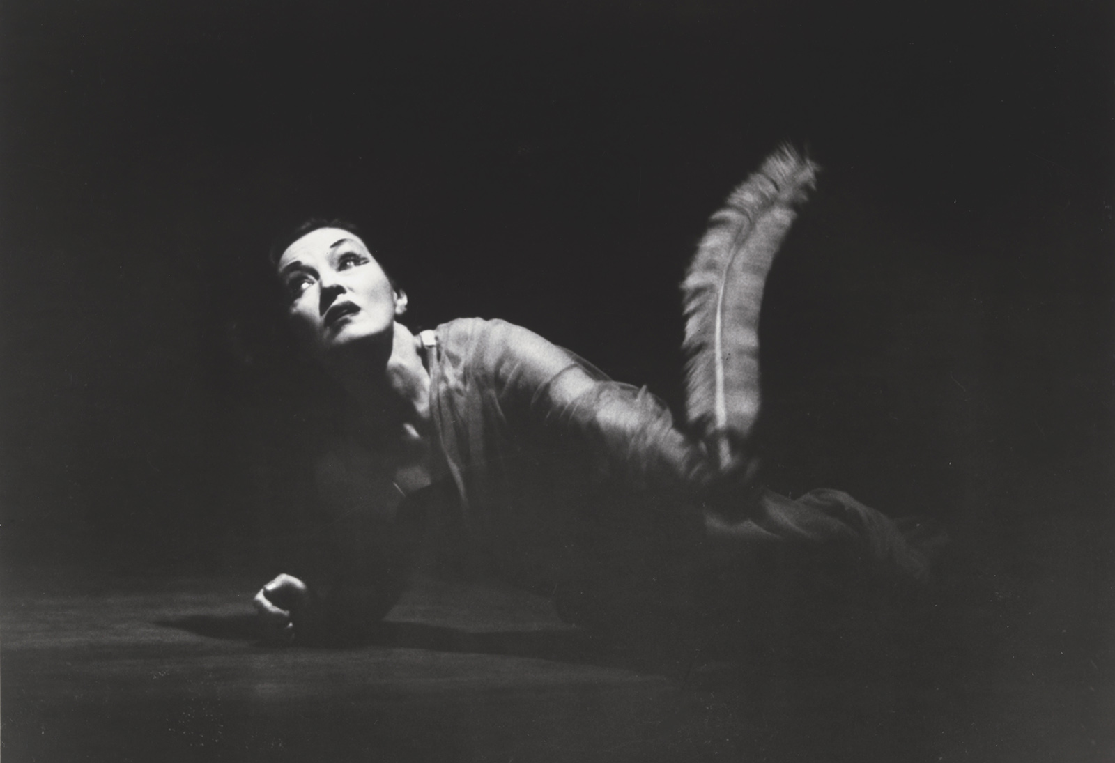 Myra Kinch: The Bird Watcher (Flight from Reality) - Jacob’s Pillow ...