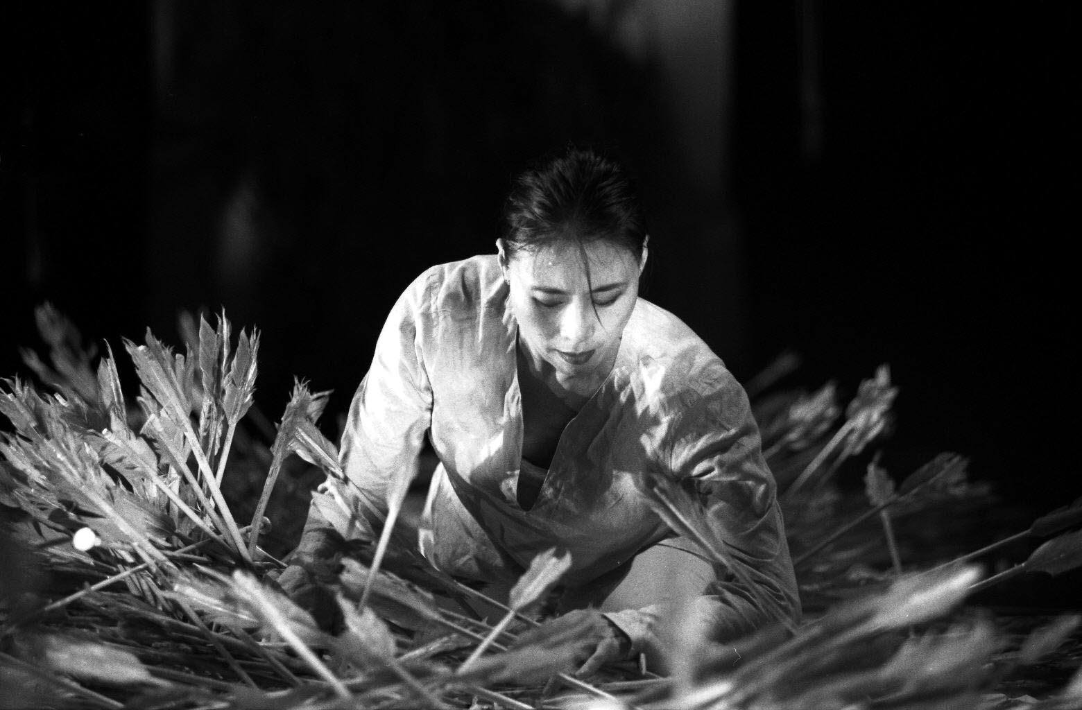 Yin Mei: Empty Tradition / City of Peonies - Jacob’s Pillow Dance ...